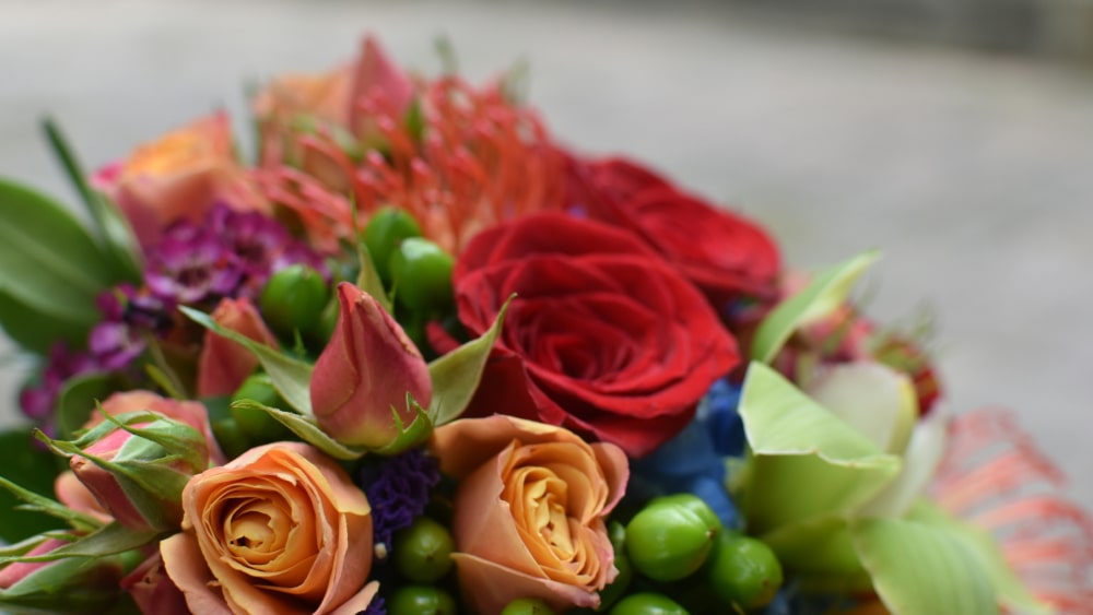 Send Congratulations Flowers - Blossmcart Fast Delivery